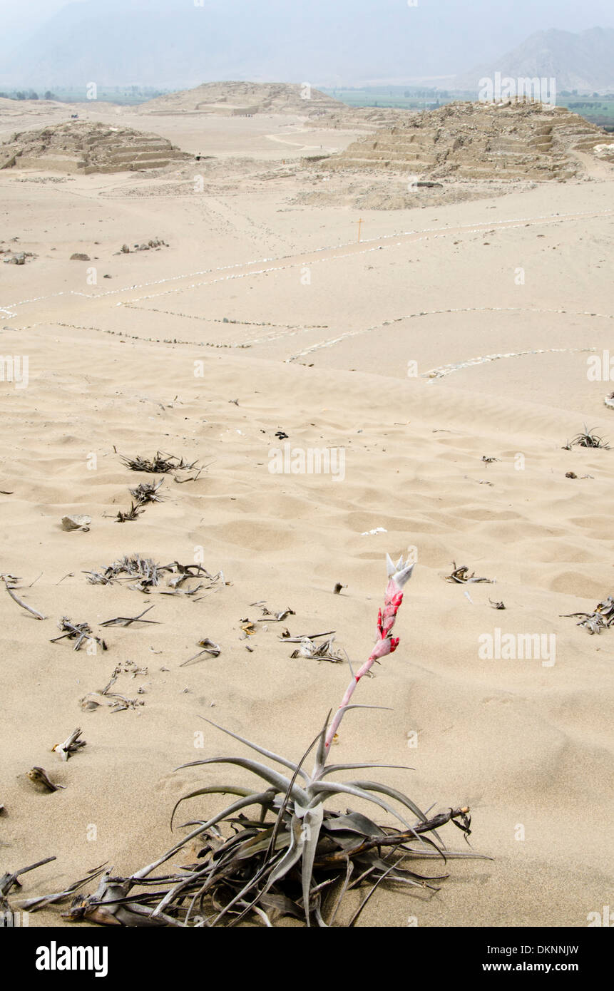 Caral ( 2600 BCE and 2000 BCE) the most ancient city of the Americas ...