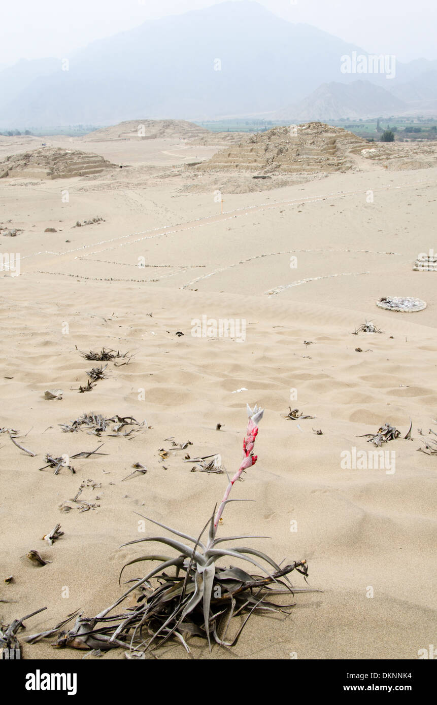 Caral ( 2600 BCE and 2000 BCE) the most ancient city of the Americas ...