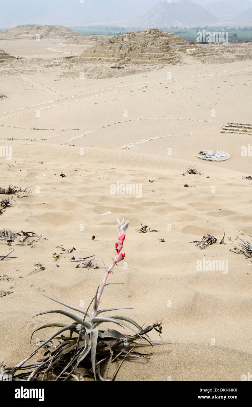 Caral ( 2600 BCE and 2000 BCE) the most ancient city of the Americas ...