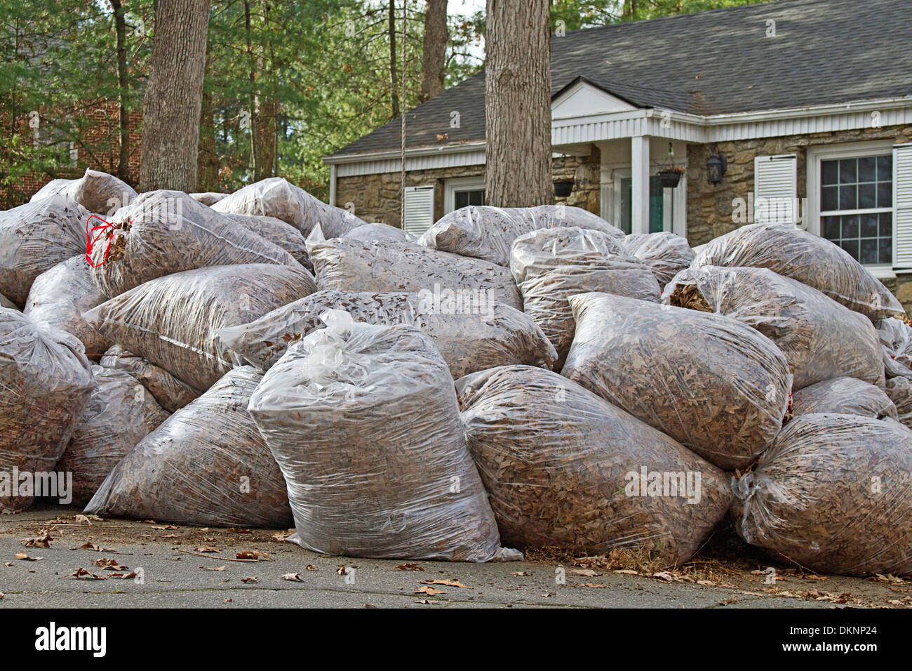 A huge stack of bagged oak trees towers in front of the house behind it ...