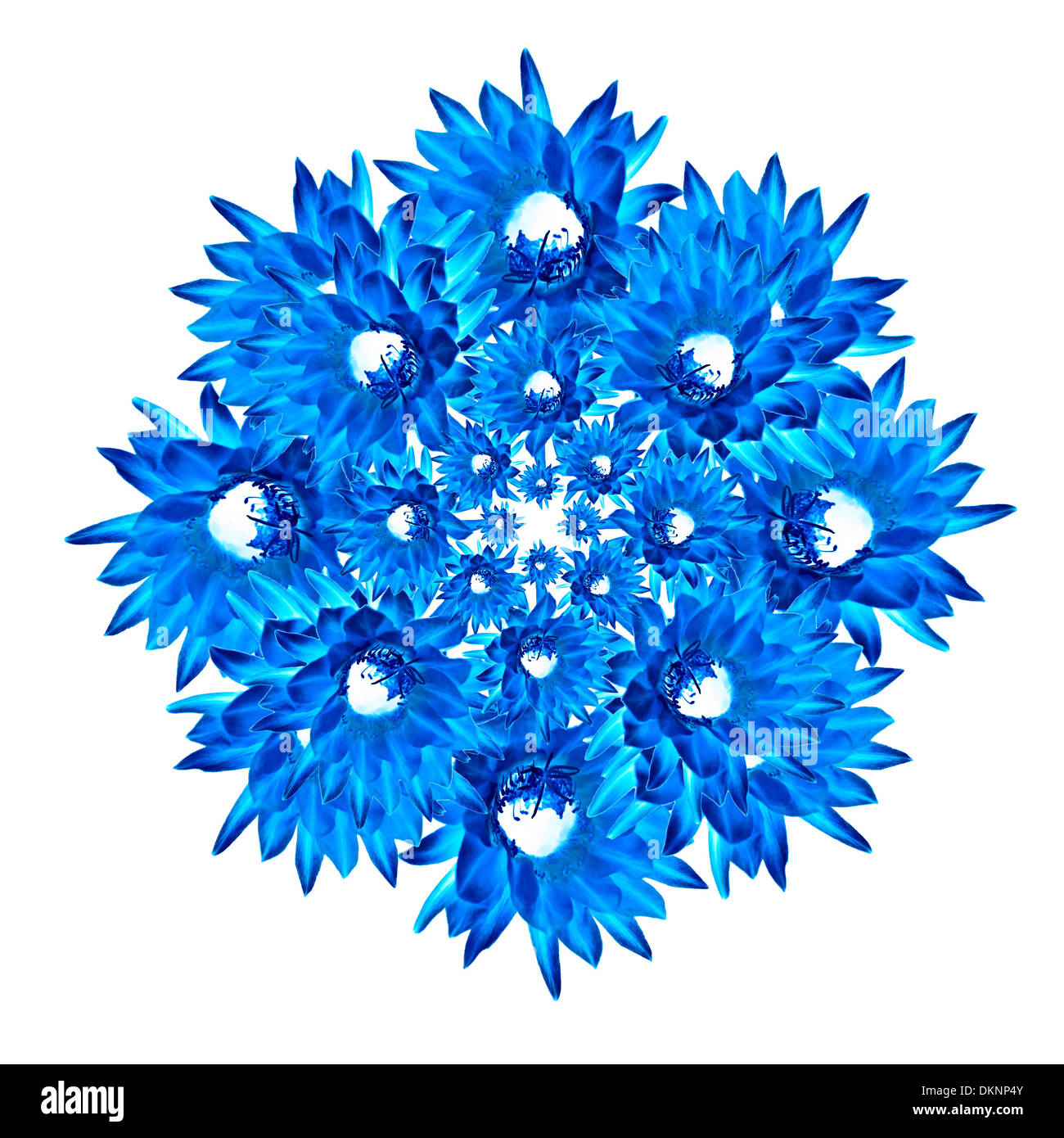 Spring flowers composition Cut Out Stock Images & Pictures - Alamy