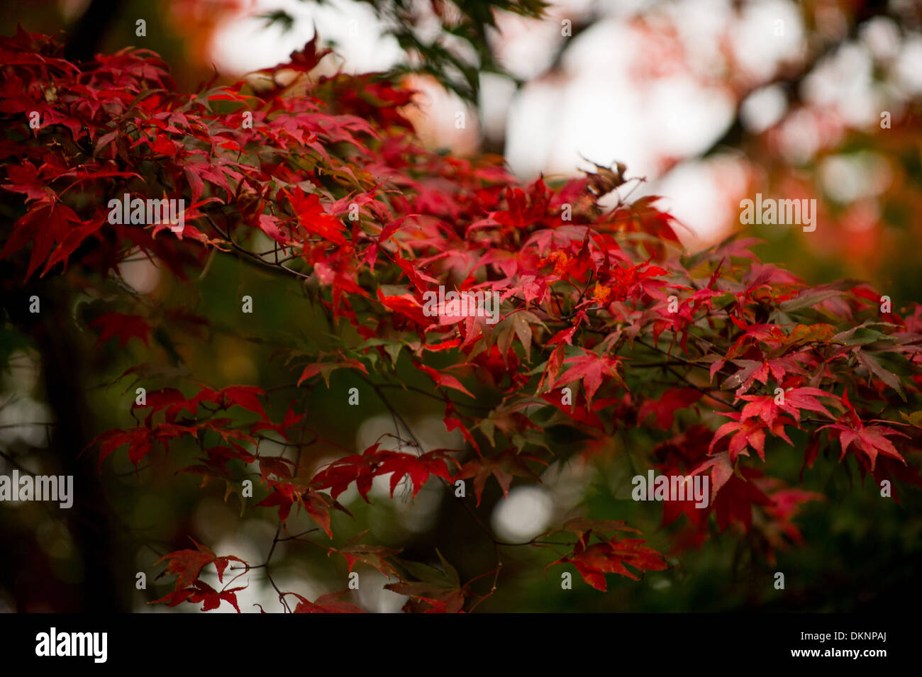 Cardiff weather hi-res stock photography and images - Alamy