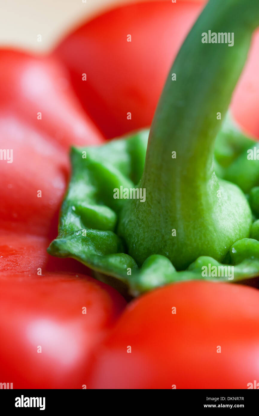 Bell pepper harvesting hi-res stock photography and images - Alamy