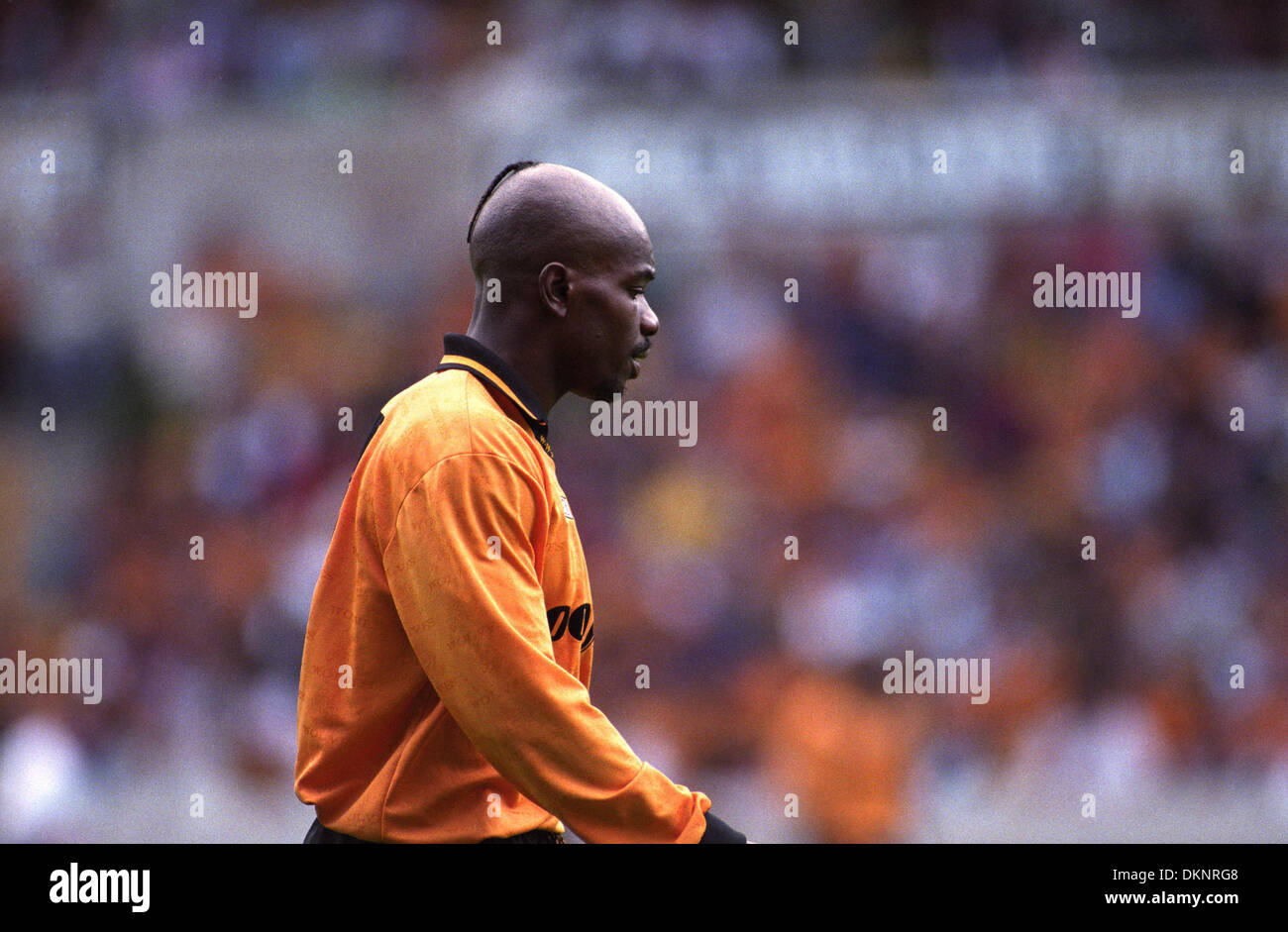 Wolves History Thread | Page 42 | The Wolves Forum