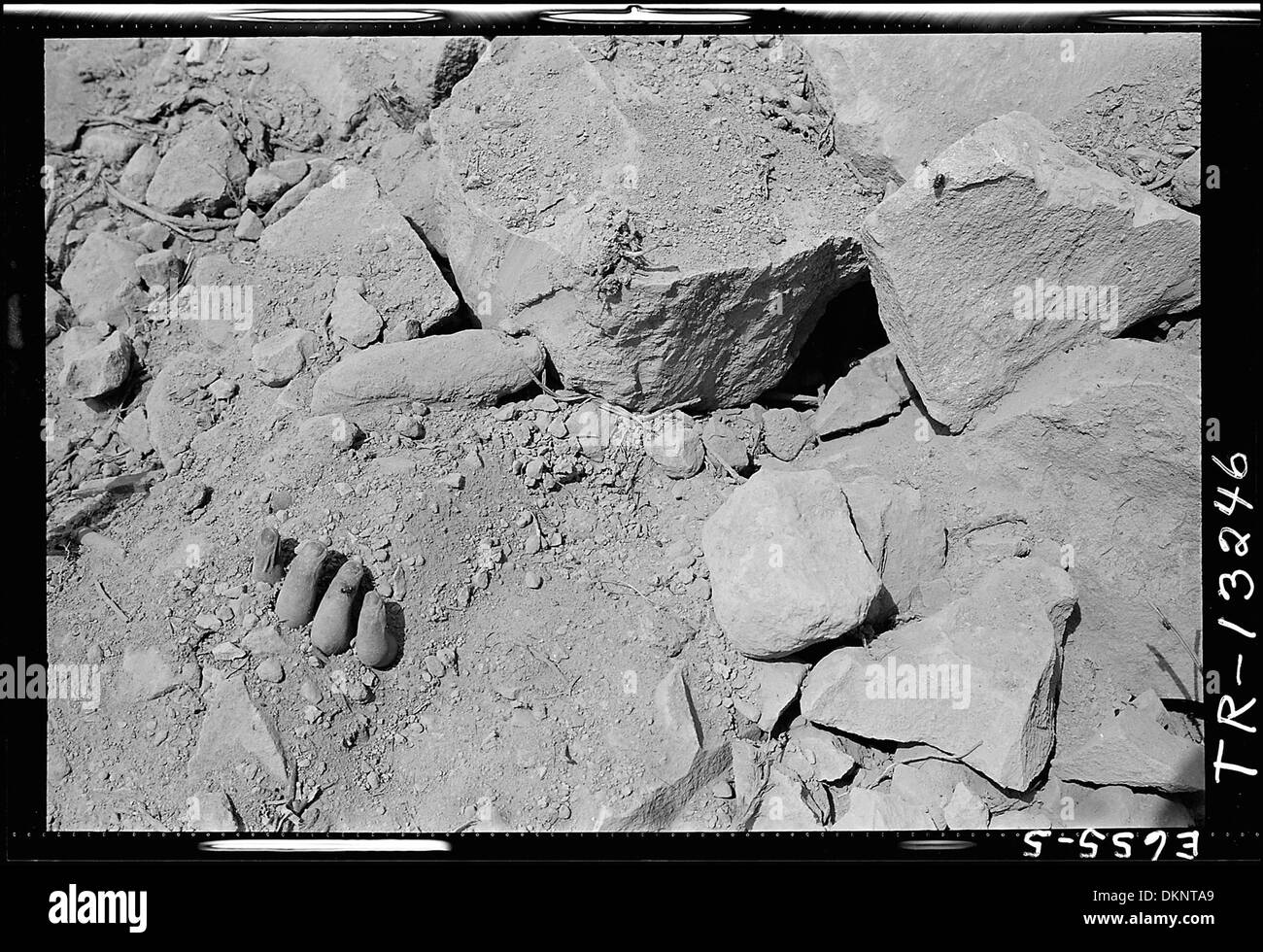 The aftermath of the fierce Battle of Iwo Jima is depicted, showing the ...