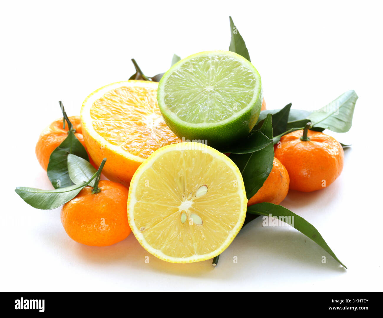 different types of citrus fruits (orange, lime, lemon, tangerine Stock ...