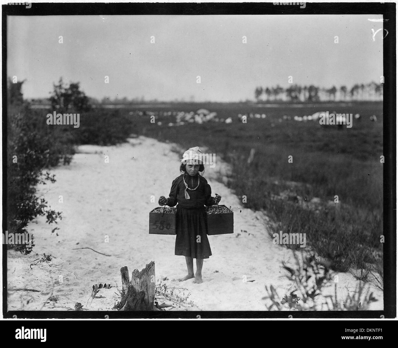 Biodo hi-res stock photography and images - Alamy