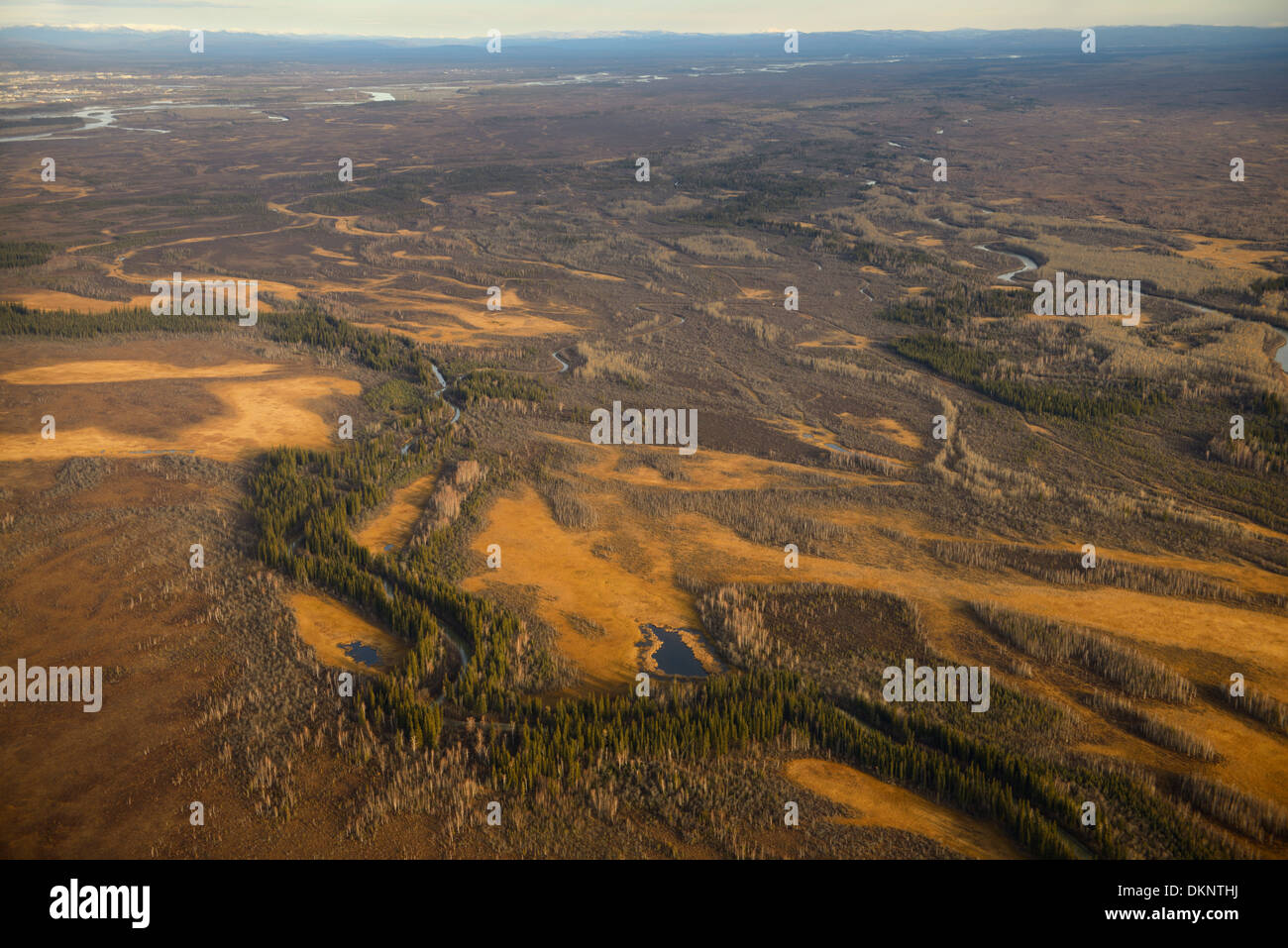 Alaska tanana valley hi-res stock photography and images - Alamy