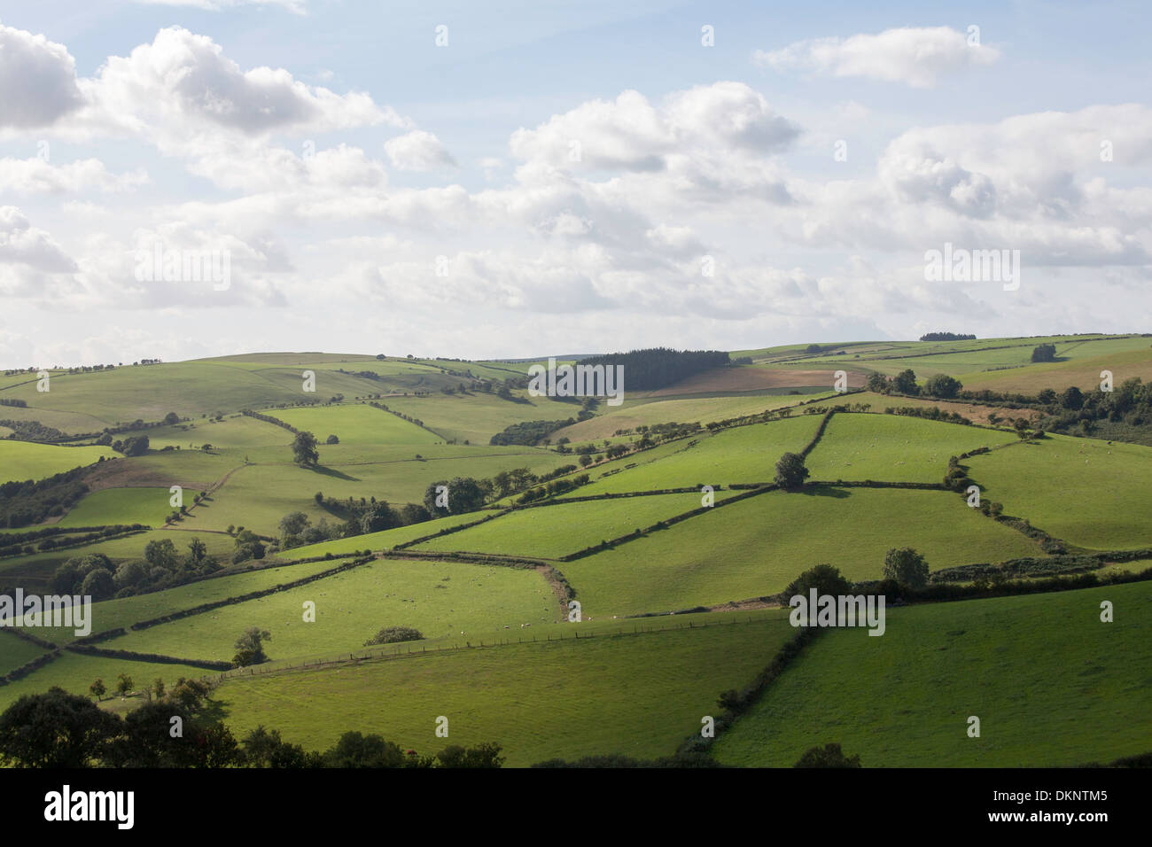 A view across part of The Clun Forest from The Shropshire Way from ...