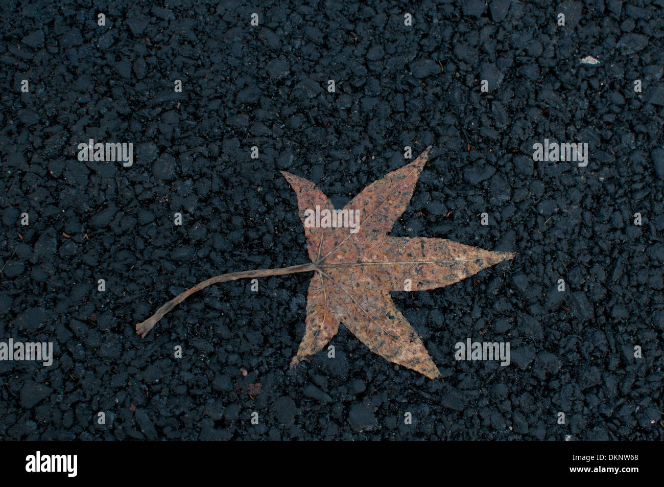 Road textures hi-res stock photography and images - Alamy