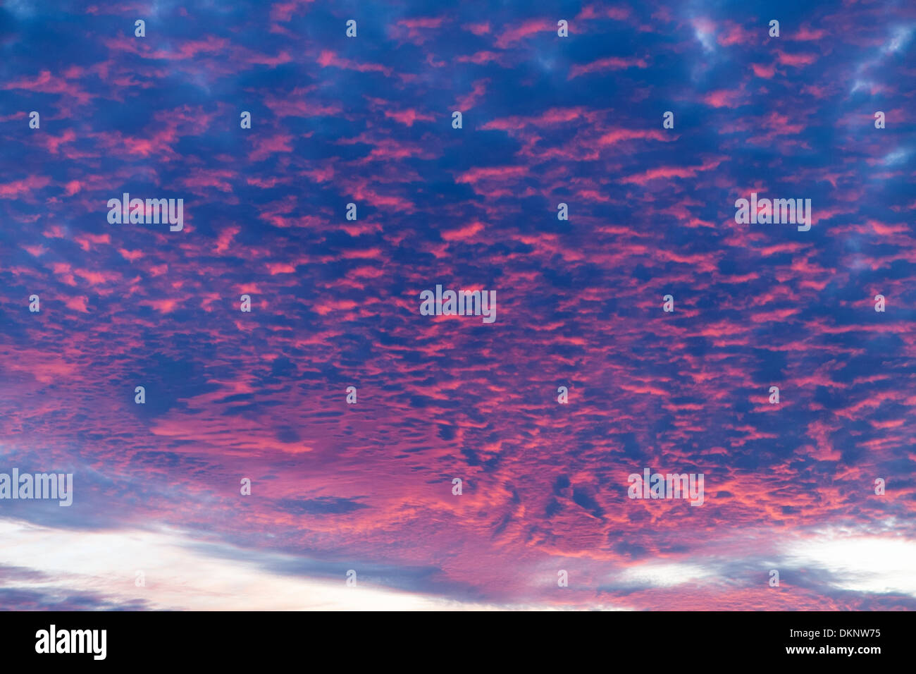Weather altocumulus clouds red sky hi-res stock photography and images ...