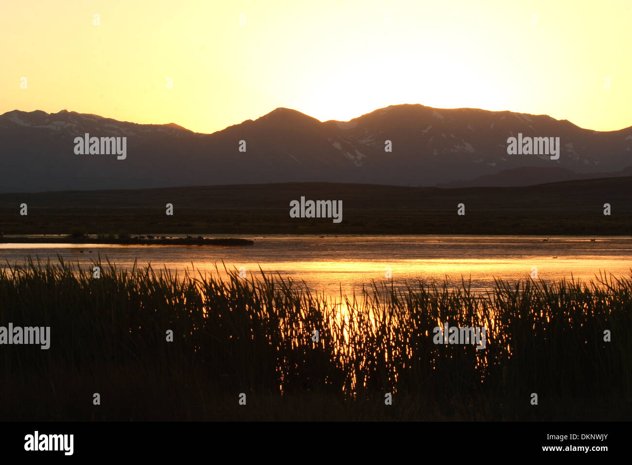 Beautiful marsh sunset hi-res stock photography and images - Alamy