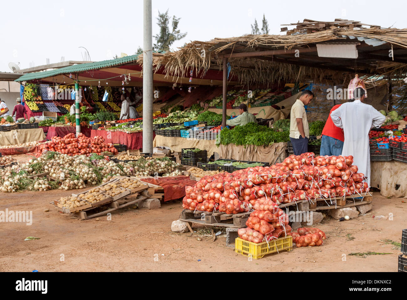 Libya vegetable market hi-res stock photography and images - Alamy