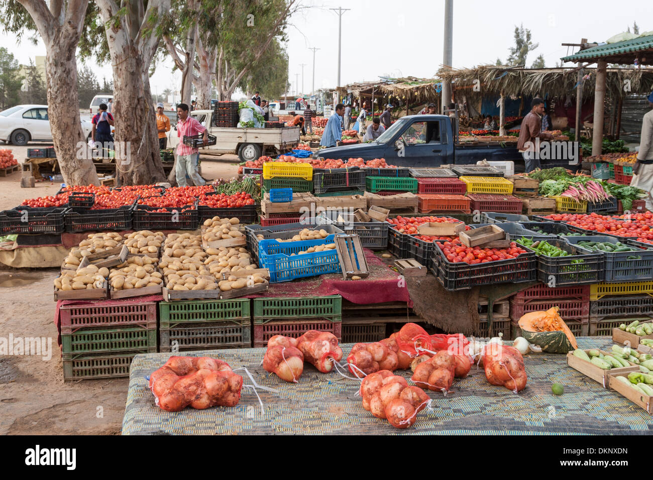 Libya vegetable market hi-res stock photography and images - Alamy
