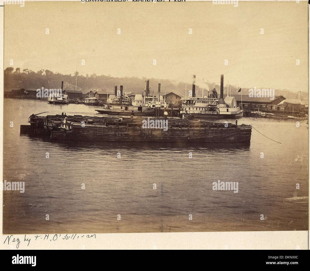 Aquia hi-res stock photography and images - Alamy