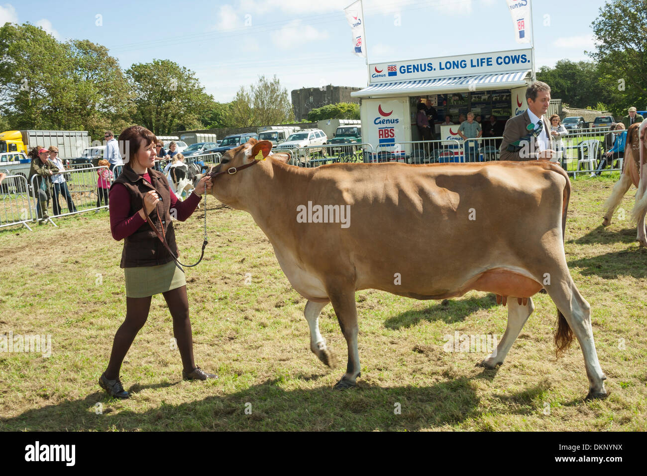 Lady cow hi-res stock photography and images - Alamy