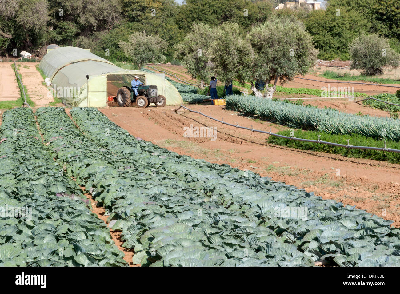 Mechanized farming hi-res stock photography and images - Alamy