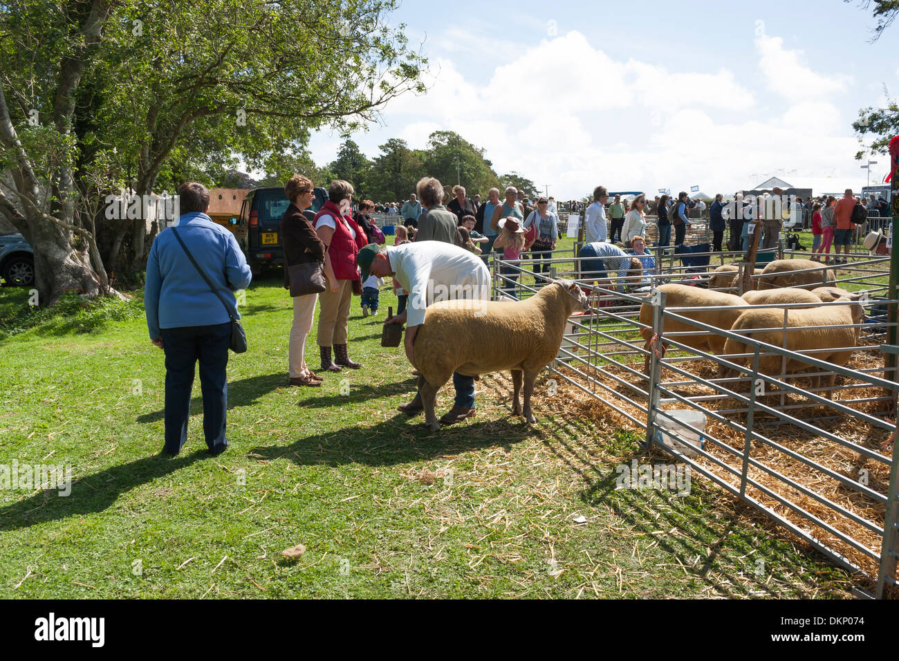 Judge judging hi-res stock photography and images - Alamy