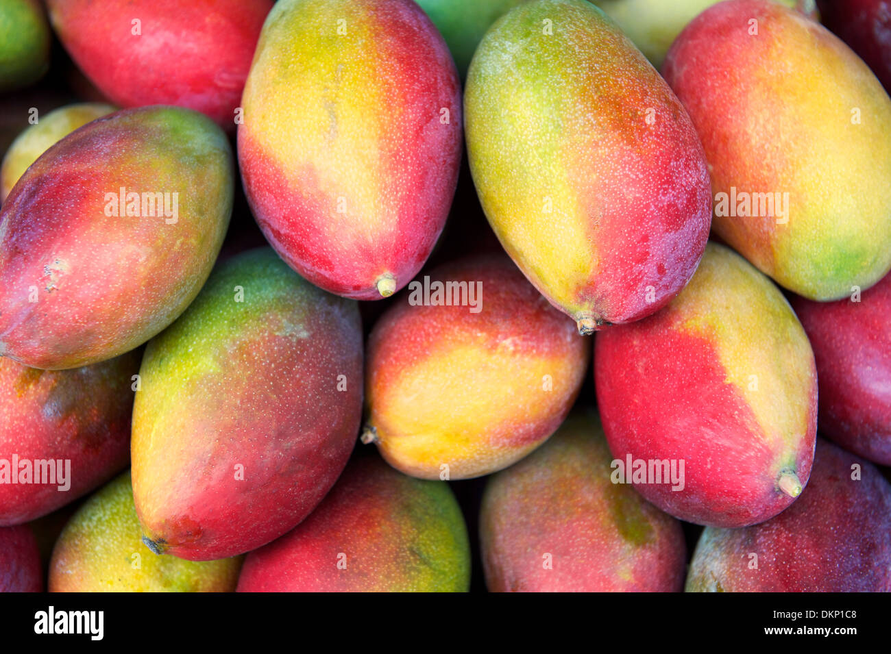 Fresh colorful tropical mangoes on display at outdoor farmers market in ...