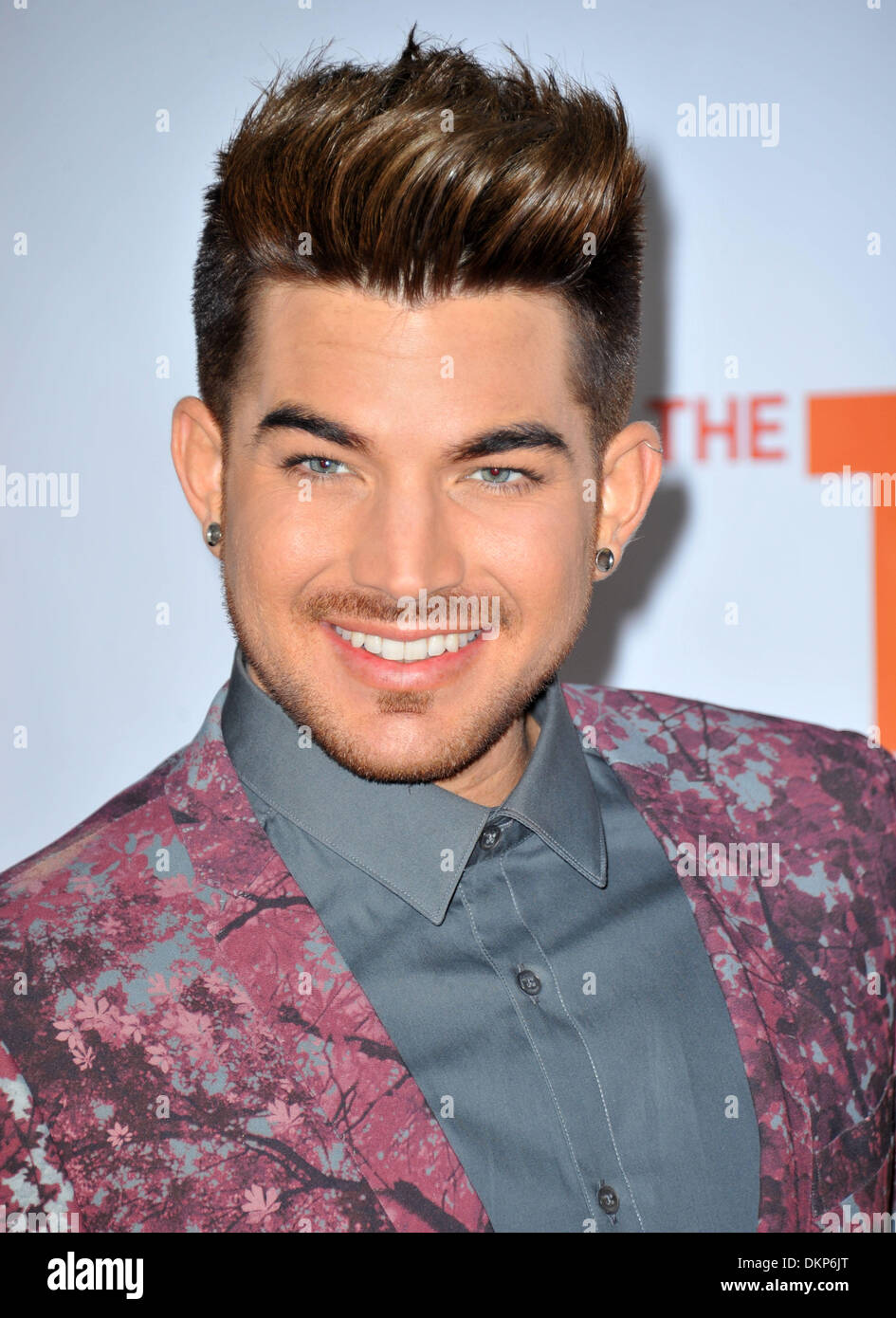 Los Angeles, California, USA. 8th Dec, 2013. Adam Lambert attending The ...