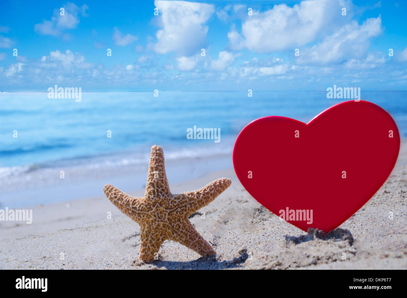 Heart shape and starfish on sandy beach by the ocean in sunny day Stock ...