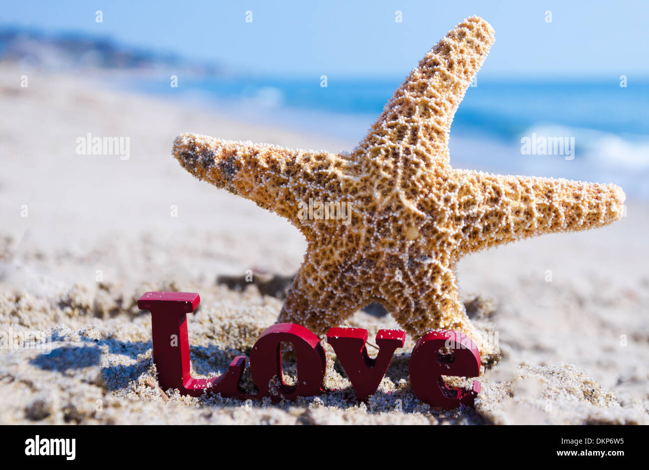 Starfish sign hi-res stock photography and images - Alamy