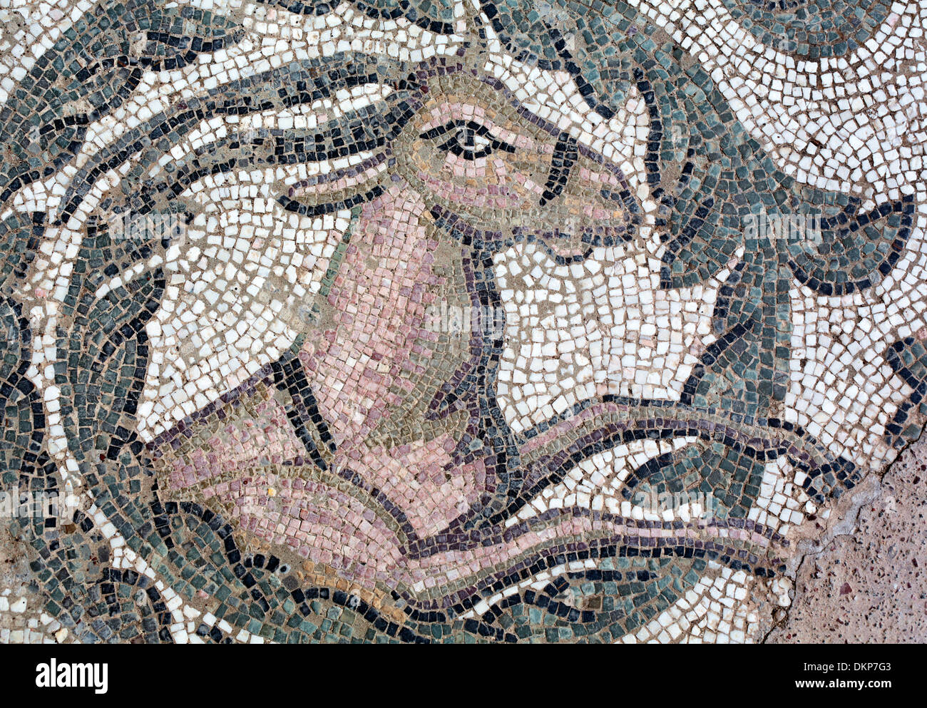 Goat mosaic hi-res stock photography and images - Alamy