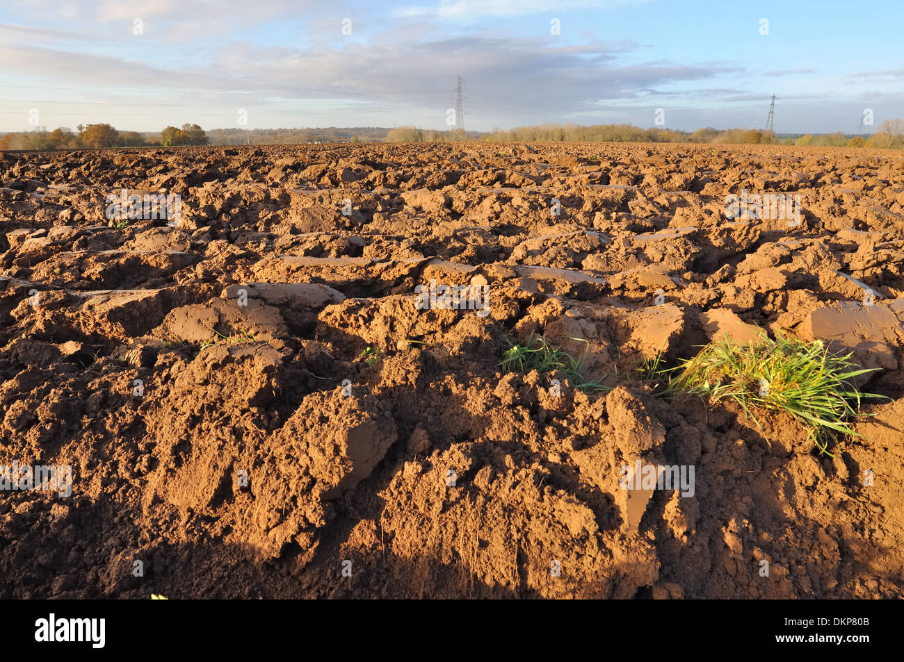 land of a freshly plowed field, by a sunny fall day Stock Photo - Alamy