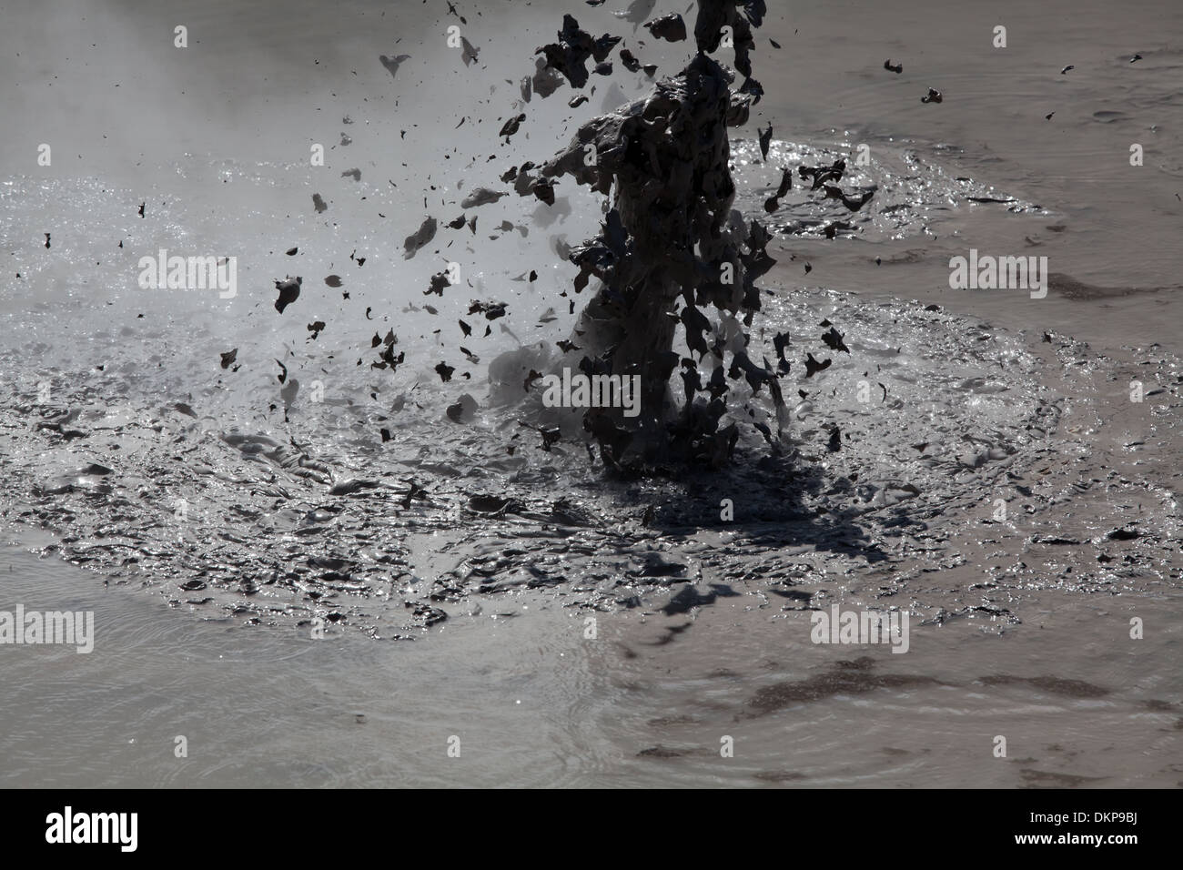 Boiling Mud Pool in Wai-O-Tapu Geothermal Wonderland, Rotorua, New ...