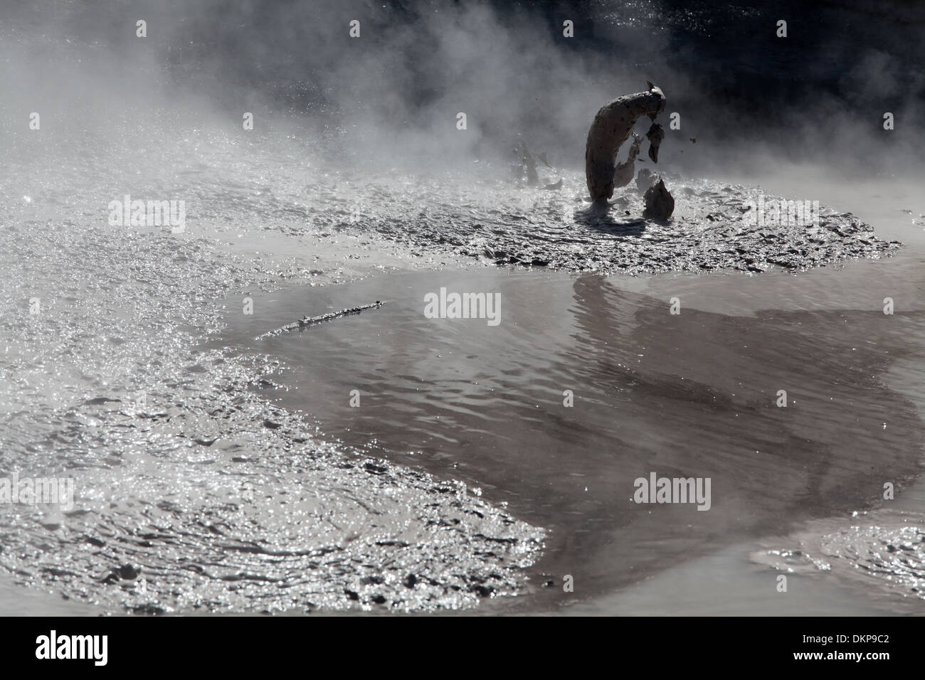 Boiling mud pool new zealand hi-res stock photography and images - Alamy