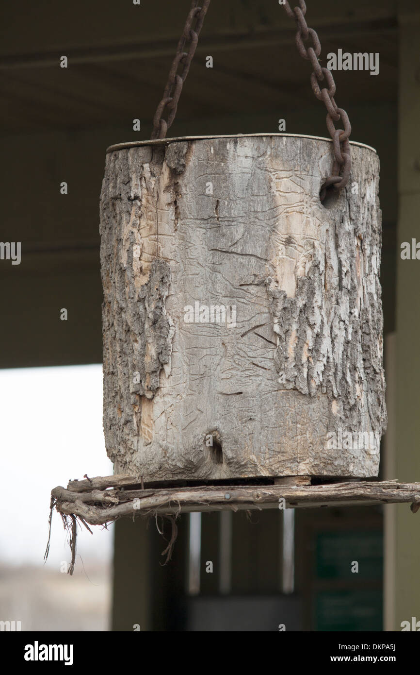 Log bird feeder at the Toronto Zoo Stock Photo - Alamy
