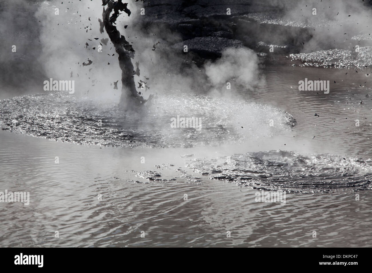 Boiling Mud Pool in Wai-O-Tapu Geothermal Wonderland, Rotorua, New ...