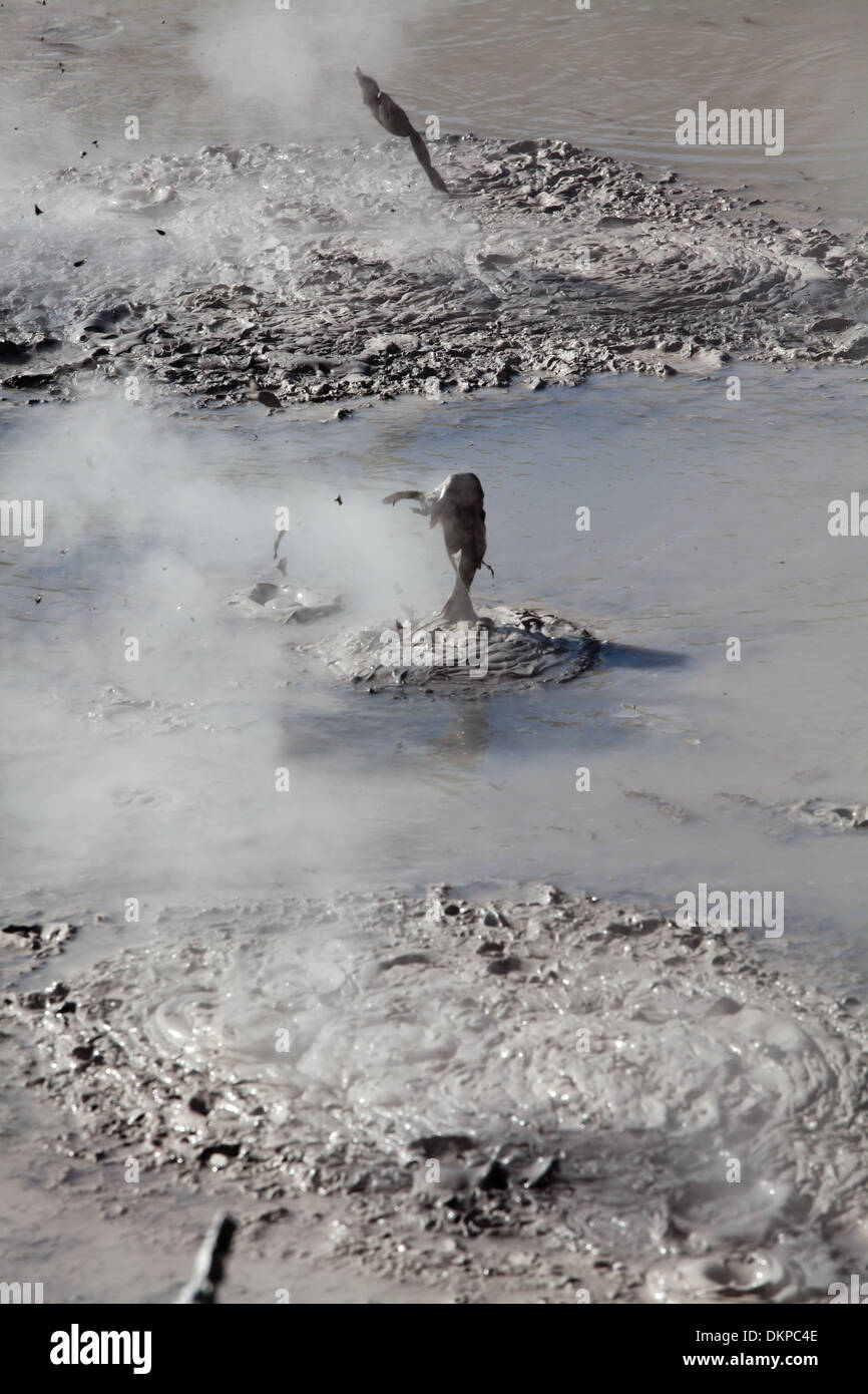 Boiling Mud Pool in Wai-O-Tapu Geothermal Wonderland, Rotorua, New ...