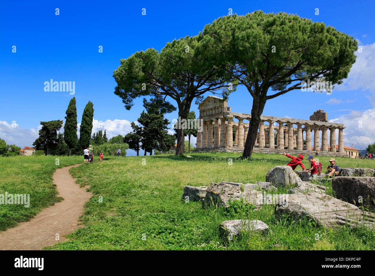 Ancient temple pine tree hi-res stock photography and images - Alamy