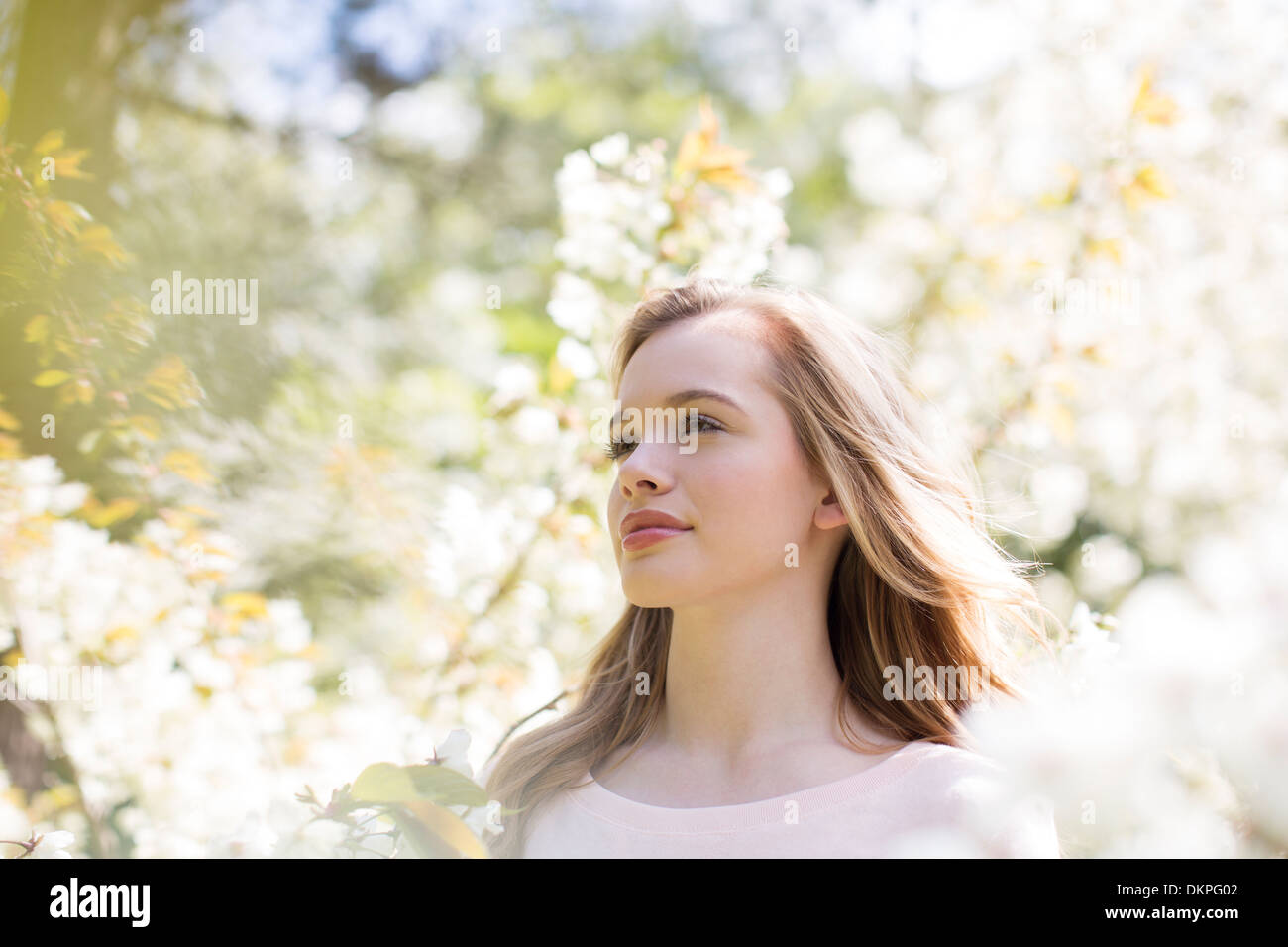 White hair tree hi-res stock photography and images - Alamy