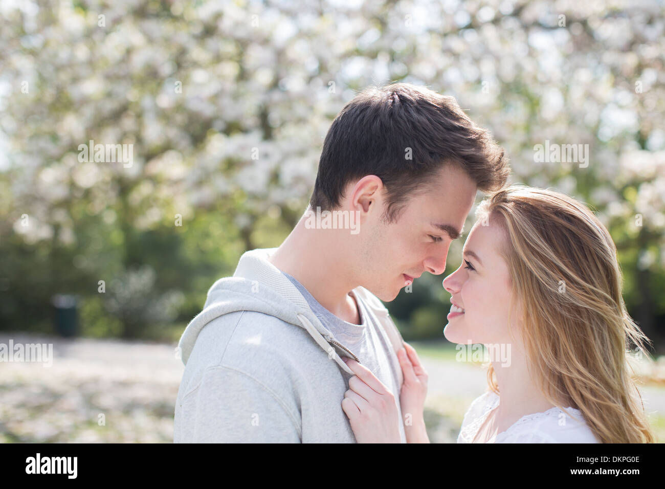 Couple hugging under tree with white blossoms Stock Photo - Alamy