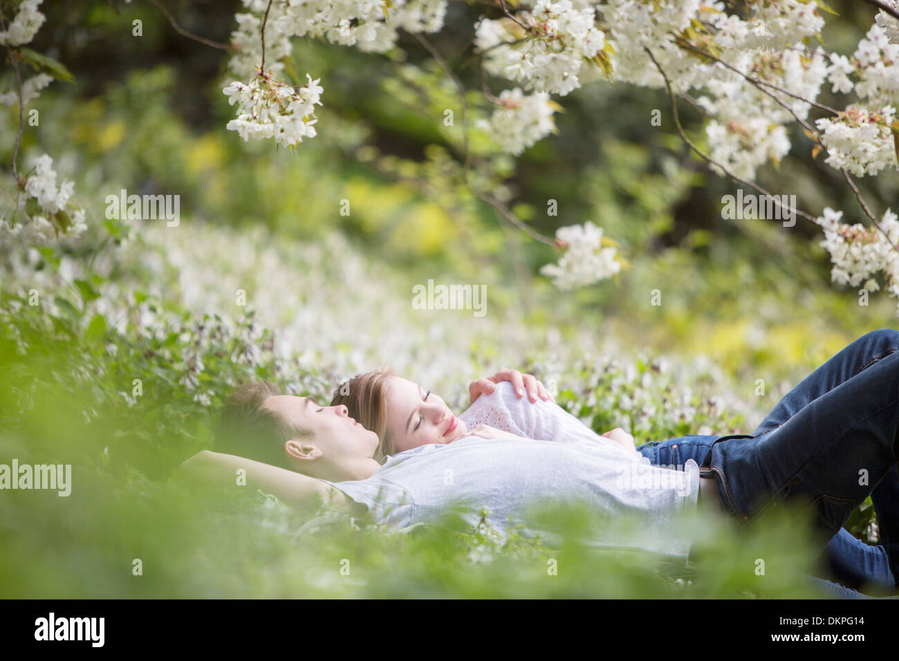 Couple laying in grass under tree with white blossoms Stock Photo - Alamy