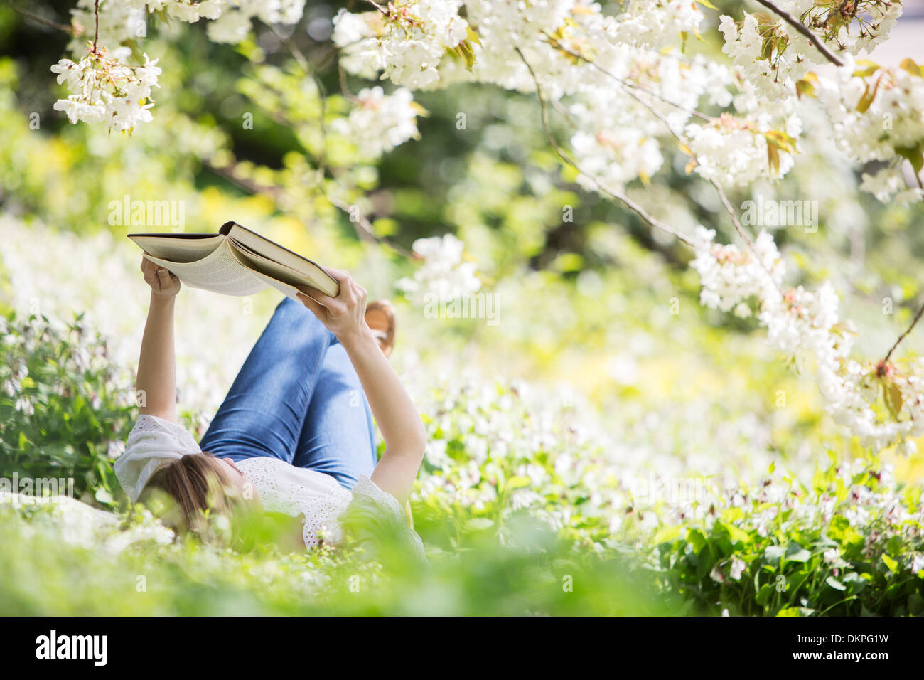 Woman reading under tree hi-res stock photography and images - Alamy