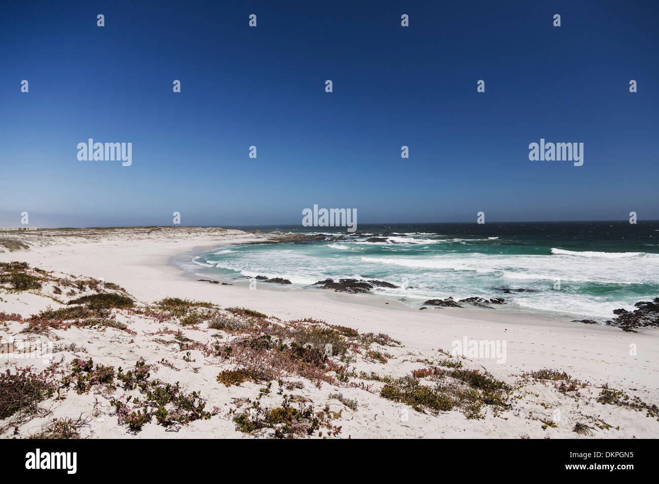 Waves rolling on shore sunny hi-res stock photography and images - Alamy