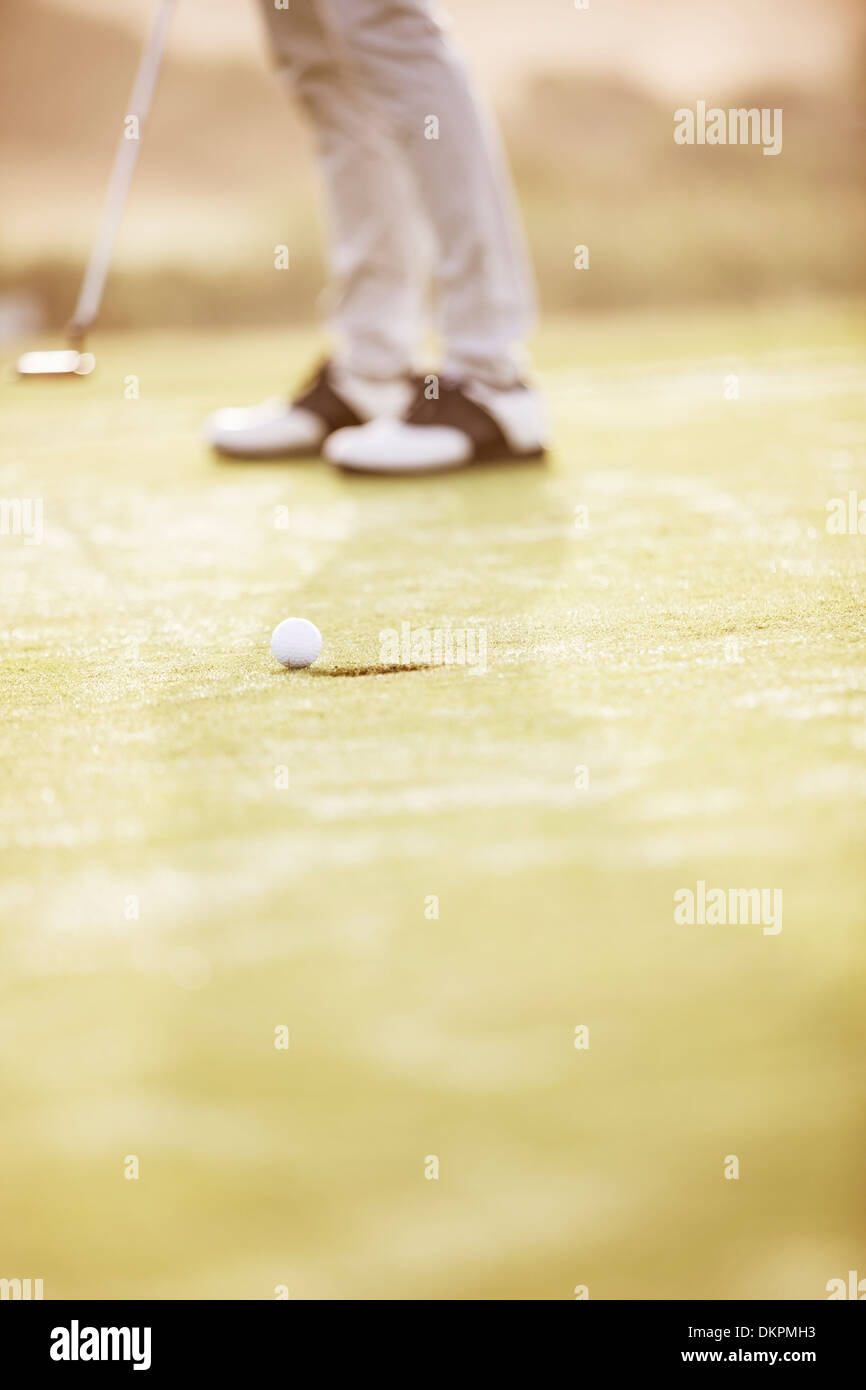 Man putting on golf course Stock Photo - Alamy