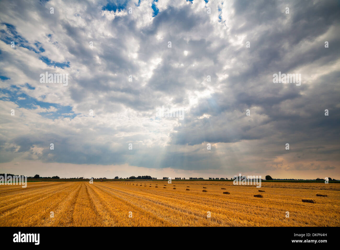 Land farming hi-res stock photography and images - Alamy