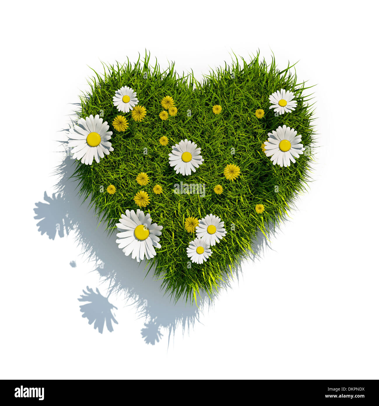 grass heart on white background Stock Photo - Alamy