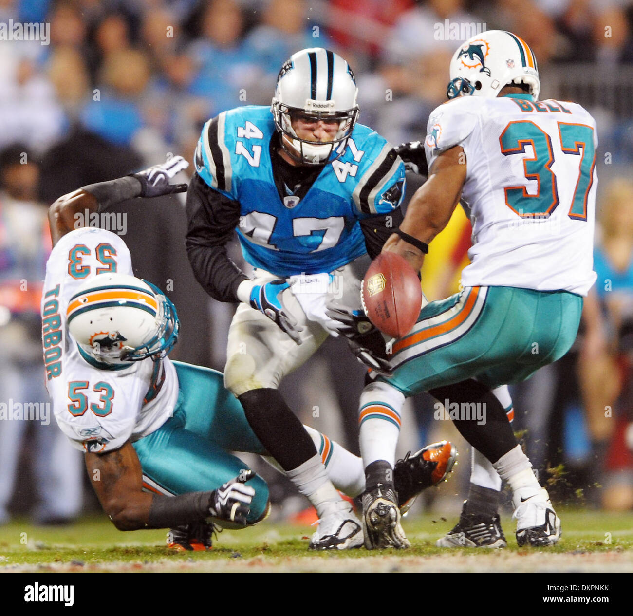 Charlotte ---finsrd19d---Miami Dolphins visit the Carlina Panthers at ...
