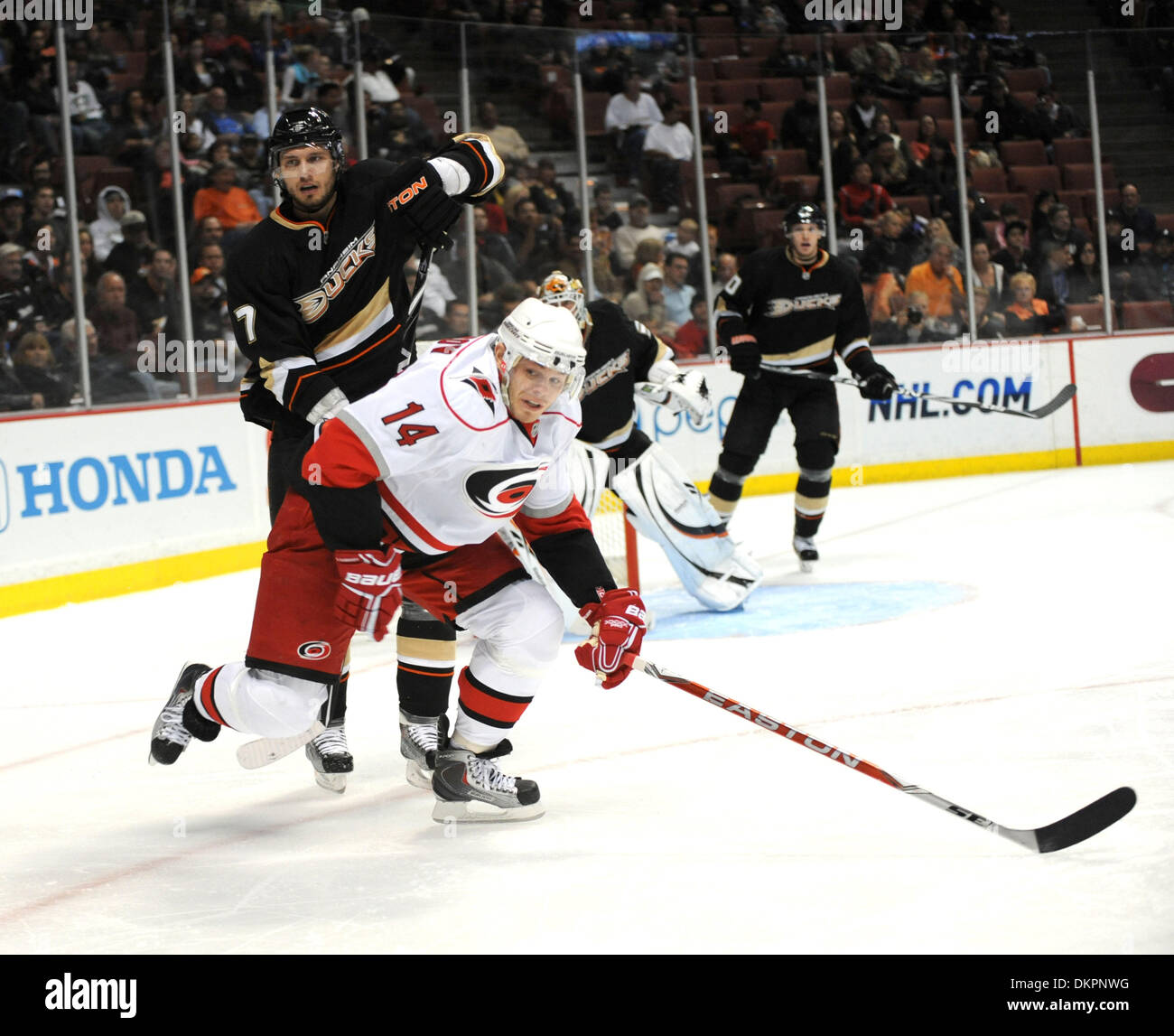 Nov 25, 2009 - Anaheim, California, USA - NHL HOCKEY - SERGEI SAMSONOV ...