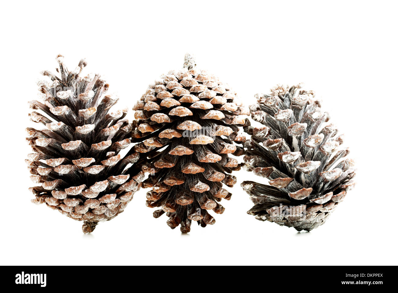 Vertical view Cut Out Stock Images & Pictures - Alamy