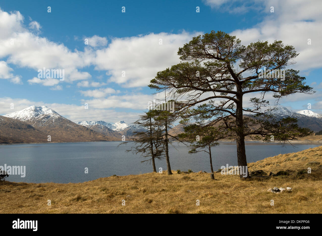 Knoydart highland highlands hi-res stock photography and images - Alamy