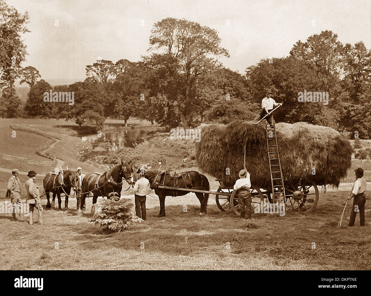 Haymaking hi-res stock photography and images - Alamy