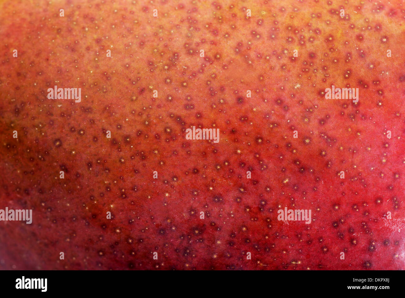 Macro shot on apple's skin. Detailed picture Stock Photo - Alamy