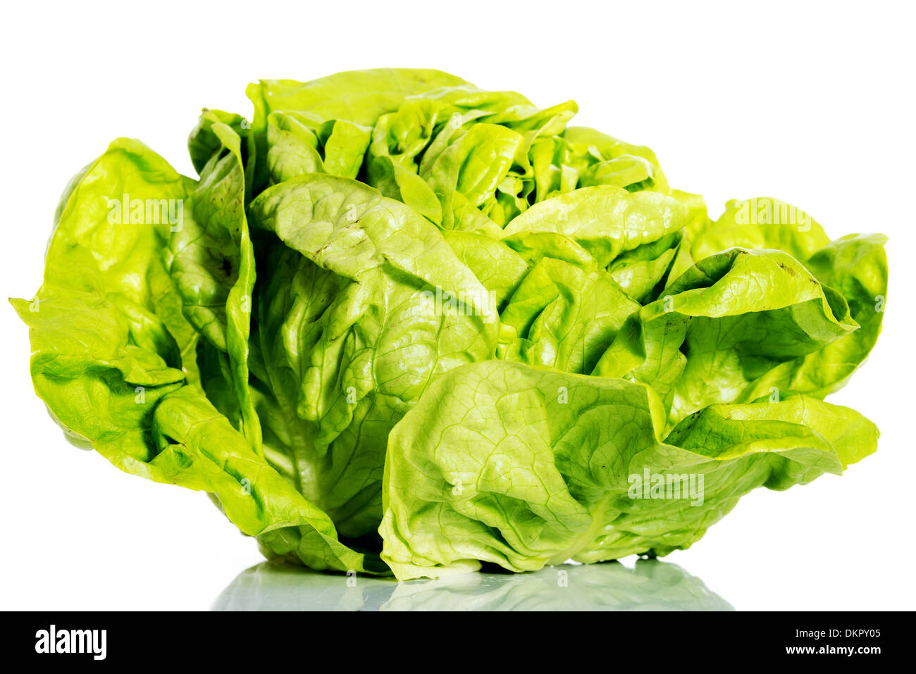 Bunch of fresh green lettuce hi-res stock photography and images - Alamy