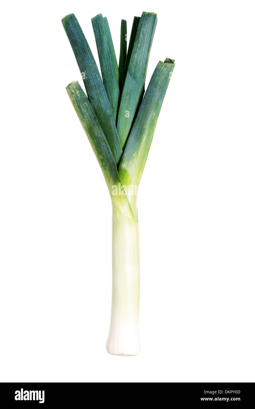 Fresh, green leek over white background Stock Photo - Alamy